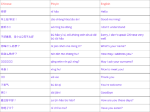 1000 Daily Used Chinese to English Sentences: Essential Phrases for ...